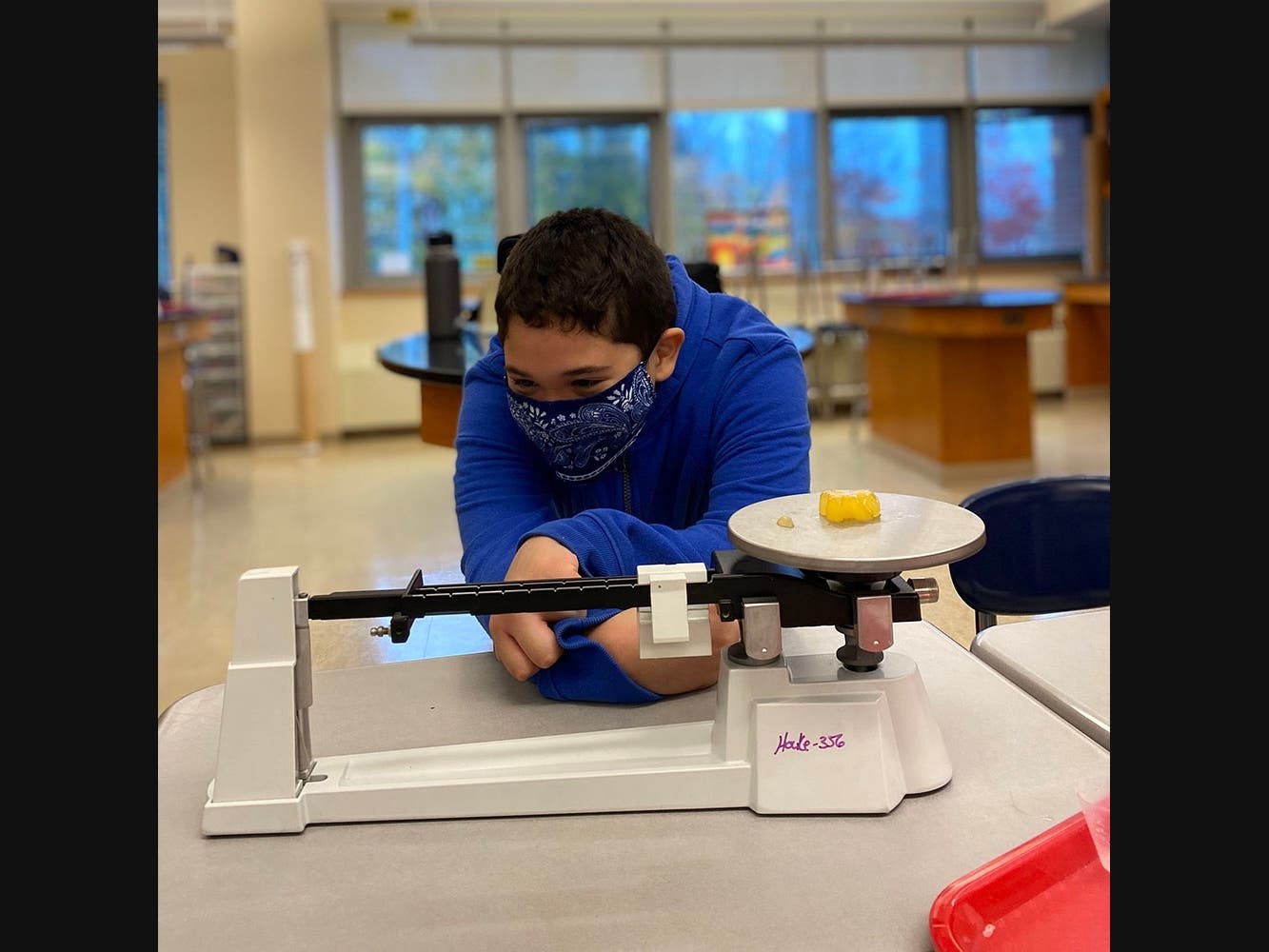 Middle School Scientists Learn To Pivot | Southeast, NY Patch