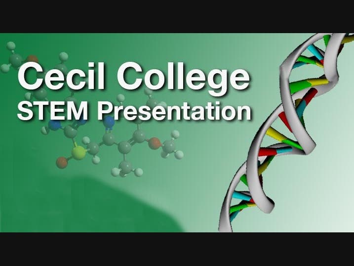 Cecil College Fall 2025 STEM Poster Showcase | Perryville, MD Patch