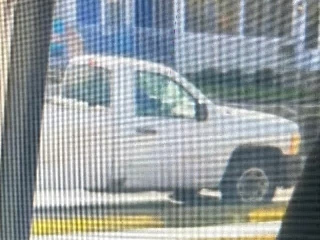 Driver Killed Dog In South Jersey Hit-And-Run: Police | Haddonfield, NJ ...