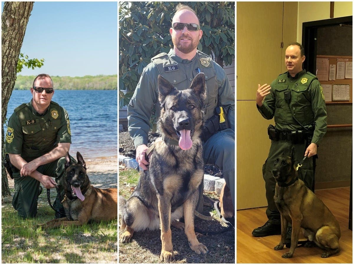 DEM K9 'Bear' Retires After 7 Years Of Service | Narragansett, RI Patch