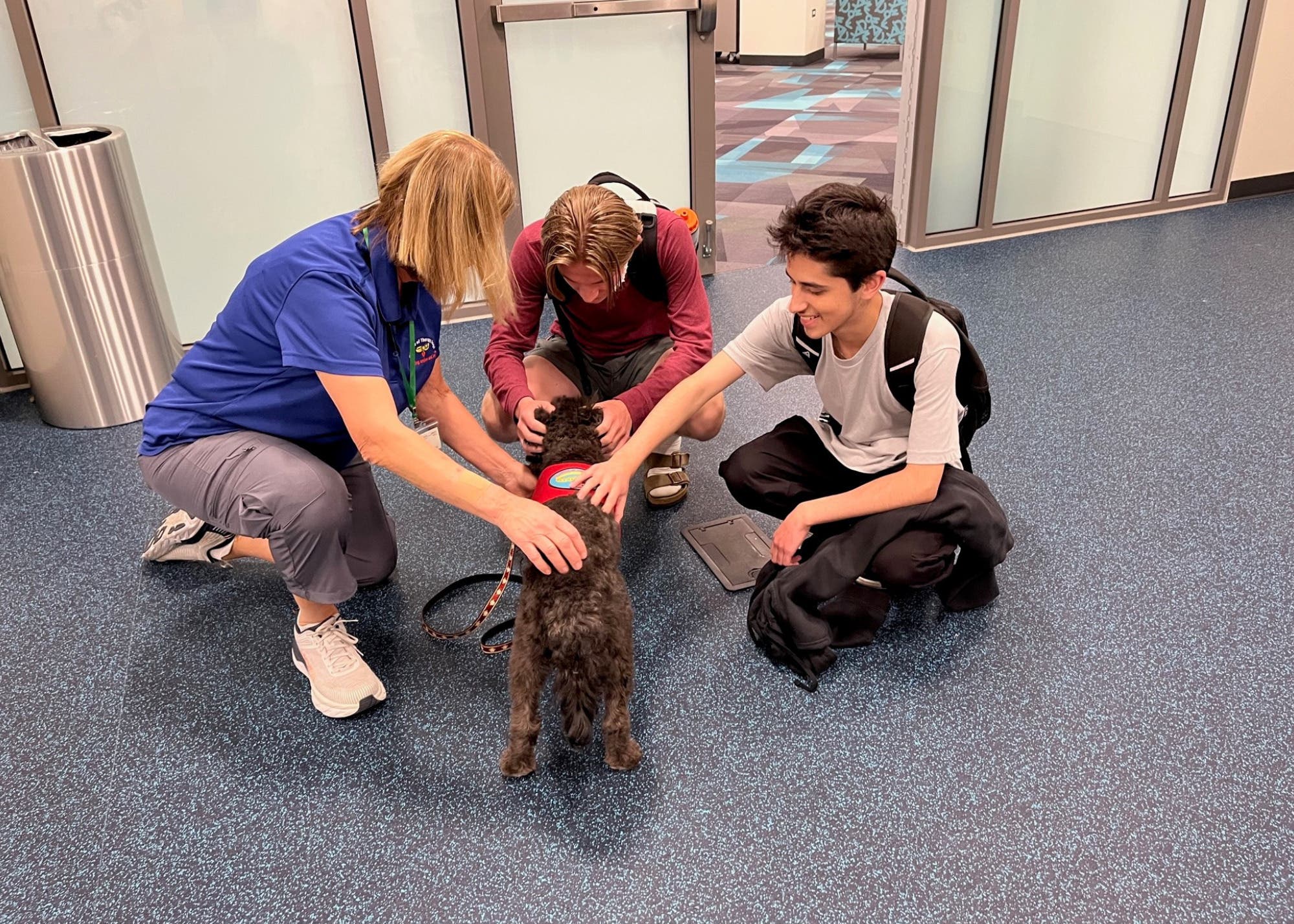 May 20 | Finals De-stress Therapy Dog Sessions | Palatine, IL Patch