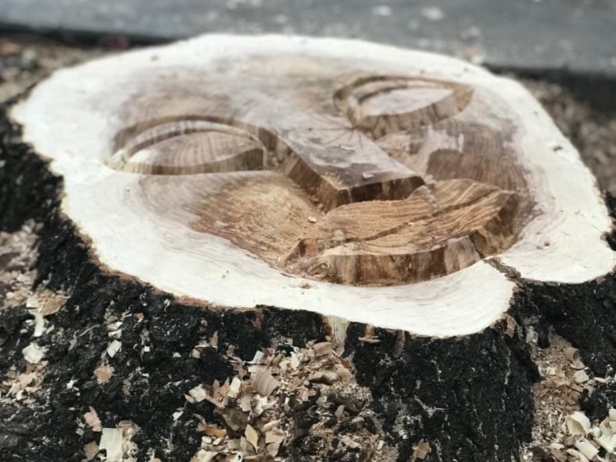 Tree Stump Gets Face Lift From East Village Sculptor | East Village, NY ...