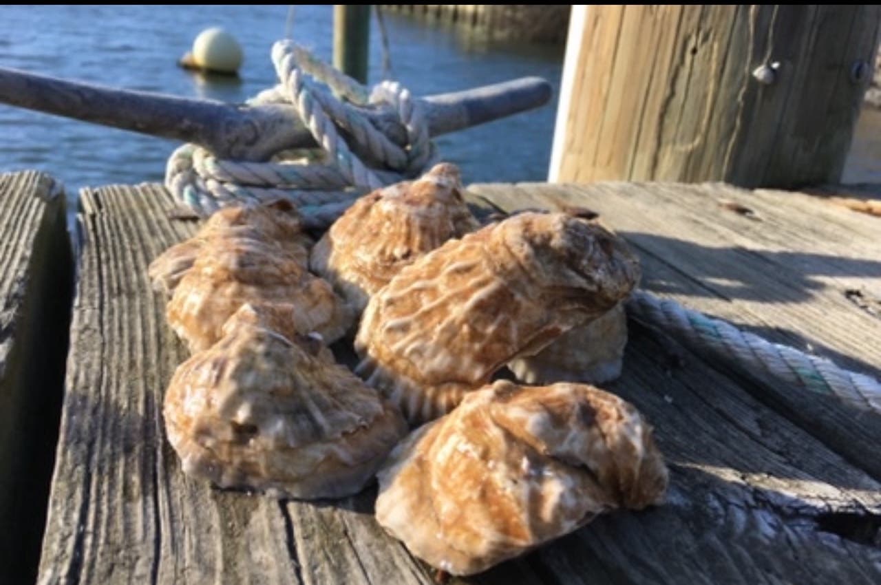 Jun 29 | Shelter Island Oyster Stand Opens for the Season | North Fork ...