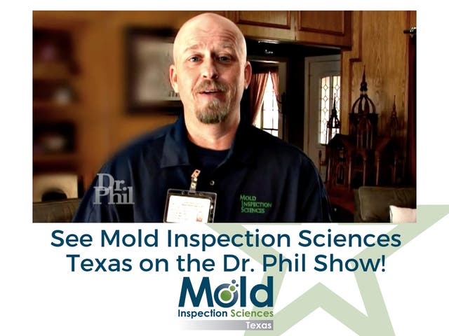 Dr. Phil Asks Mold Inspection Sciences to Investigate a Guest’s Mold ...