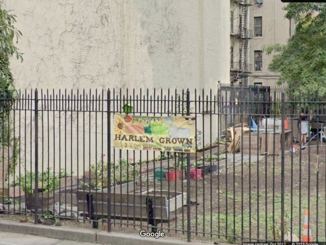 Harlem Urban Farming Org Receives $10K Grant From Starbucks | Harlem ...