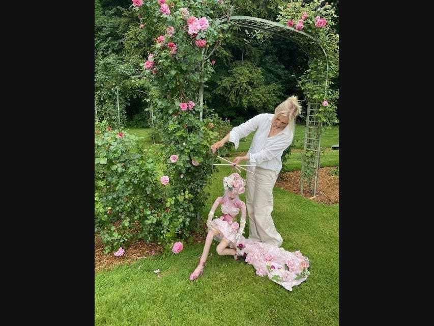 Lyndhurst Rose Weekend offers an Outdoor Experience for the Family ...
