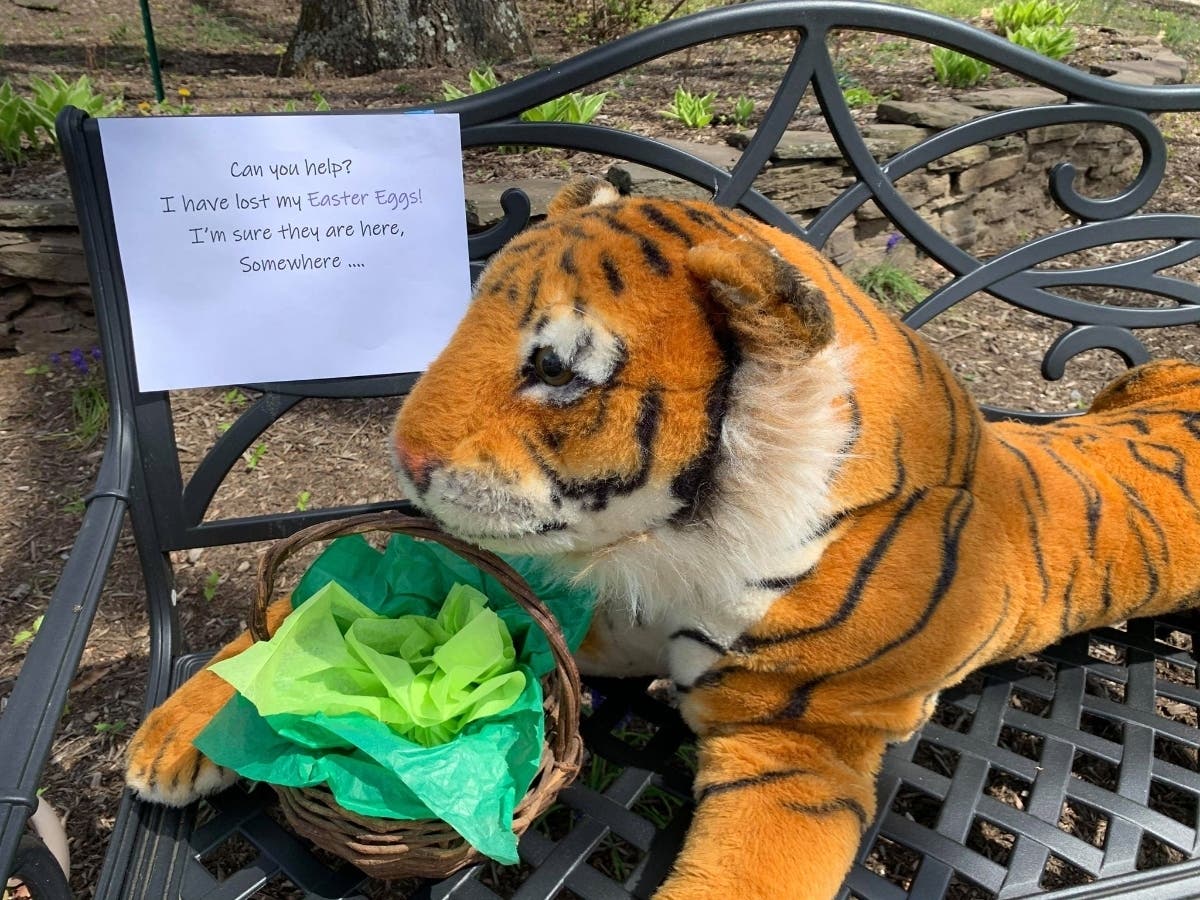 Social Distancing Easter Egg Hunt Entertains Anne Arundel Kids | Anne ...