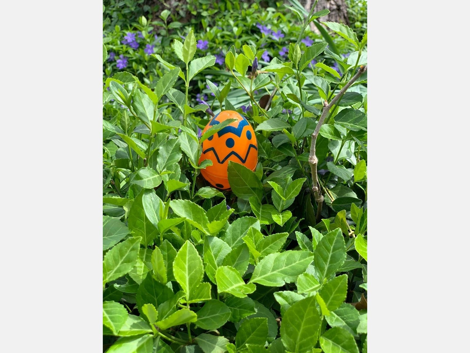 Social Distancing Easter Egg Hunt Entertains Anne Arundel Kids | Anne ...