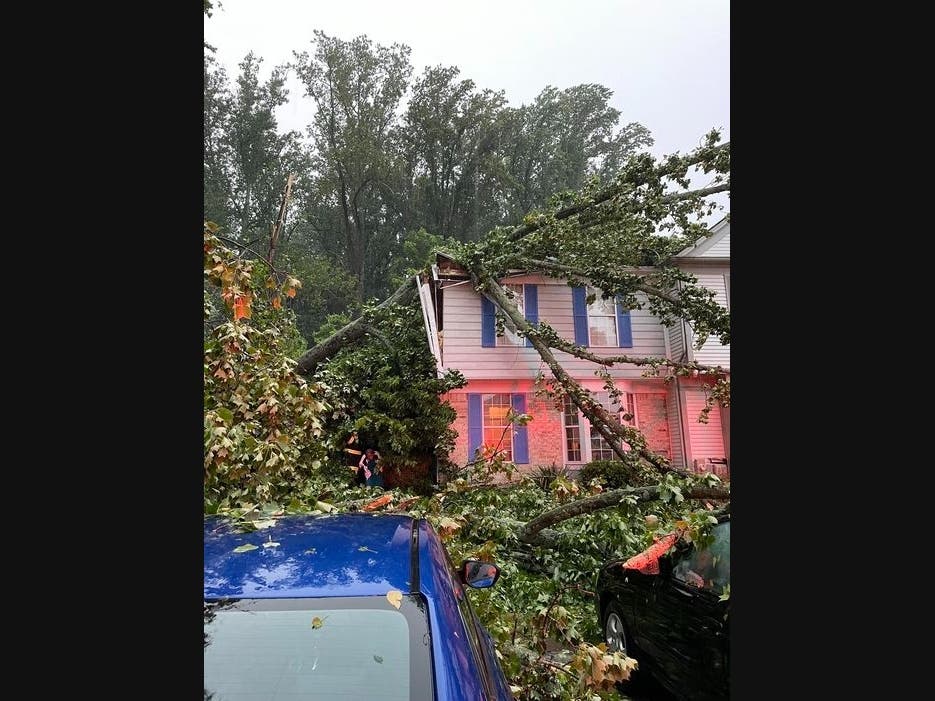Woman Hit By Tree During Storm, Houses Damaged In Harford County | Bel ...