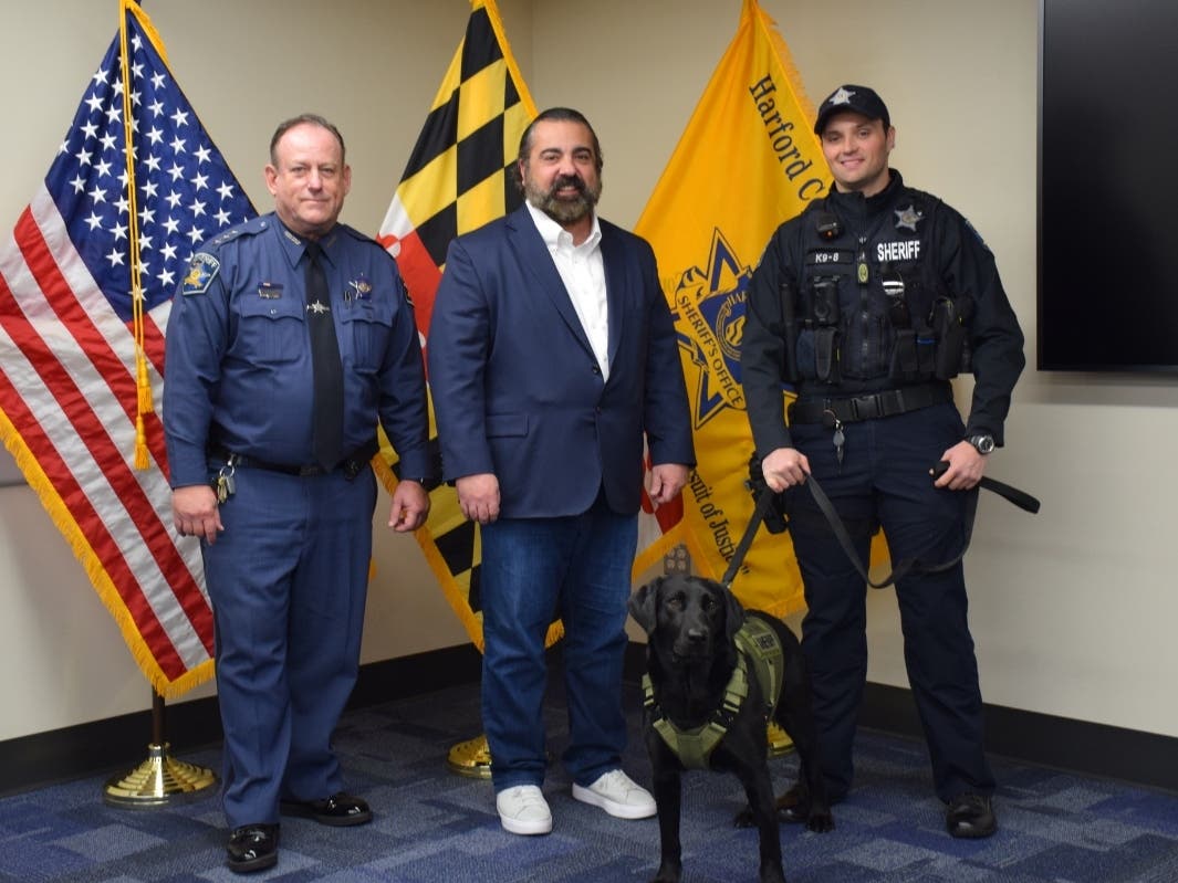 K9 Zeke Receives New Bullet-Proof Vest From Sheriff's Foundation | Bel ...