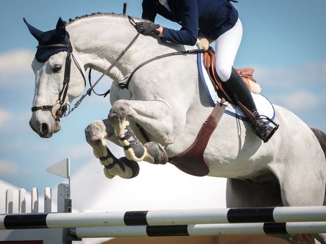 Horse Shows, Rodeo Return To Prince George's Equestrian Center And Show ...