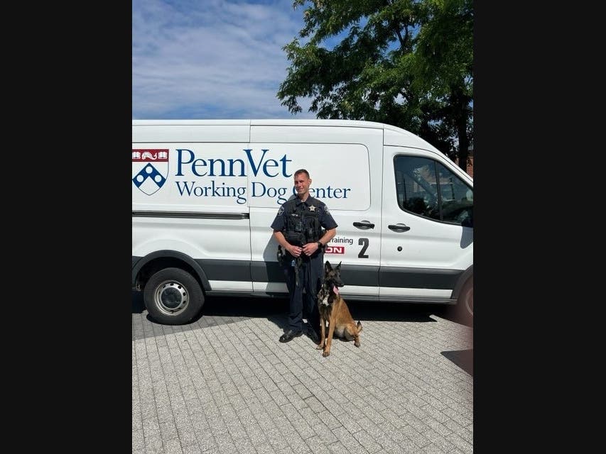 Scent Detection K9 Joins Harford Co. Sheriff's Office | Bel Air, MD Patch