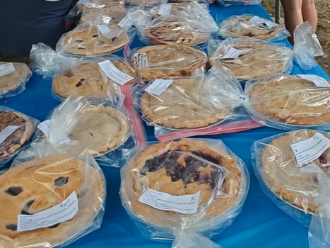 Hundreds Of Pies, Scones, Muffins And More At Annual Blueberry Festival ...