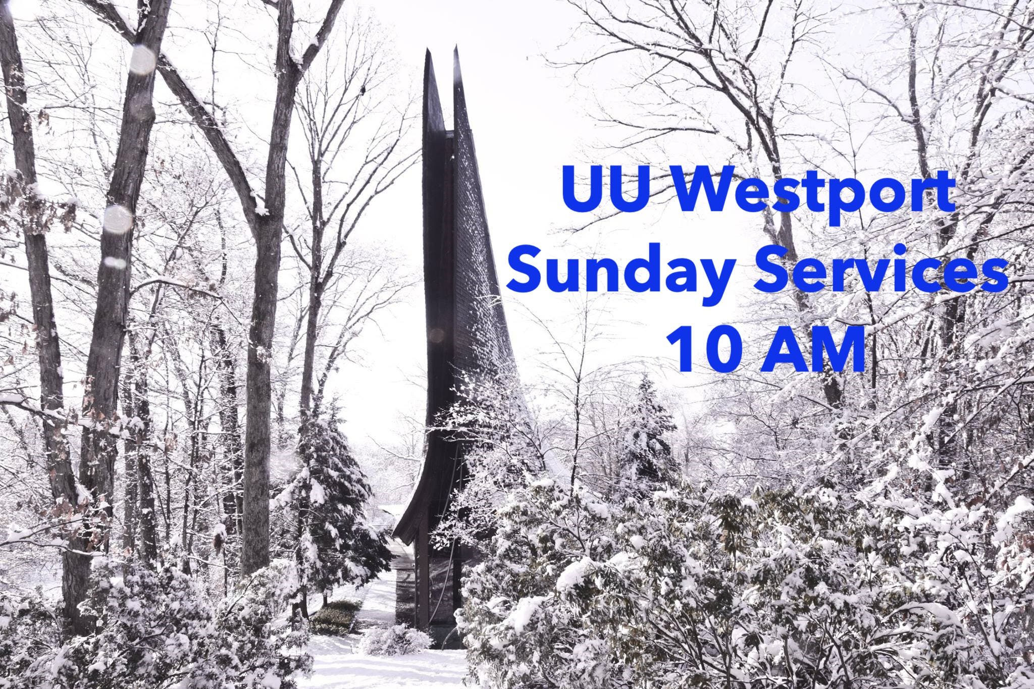 Feb 22 | UU Westport: Embodying Resilience: It Takes a Village ...