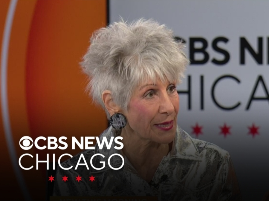 Cook County Treasurer Maria Pappas Announces Plans To Run For Mayor ...