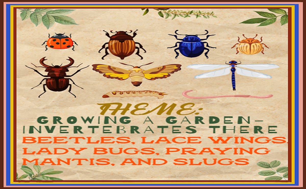 Apr 9 K 2nd Grade THEME GROWING A GARDEN INVERTEBRATES THERE Apr 9 K 2nd Grade THEME GROWING A GARDEN INVERTEBRATES THERE