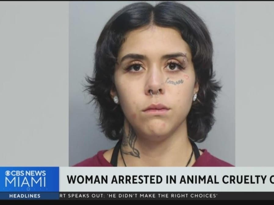 Miami Woman Accused Of Disemboweling Puppy, Threatening To Do The Same ...