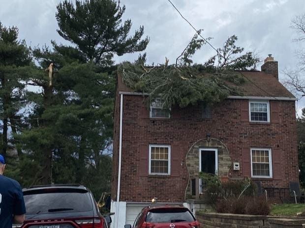 Tree Falls Onto Home In Penn Hills | Pittsburgh, PA Patch