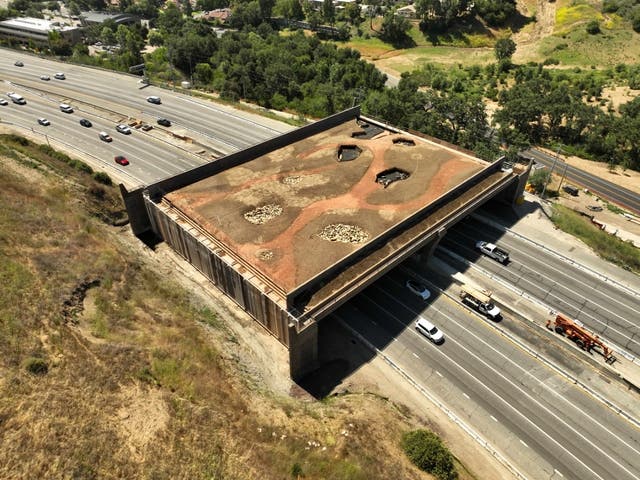 Wildlife Crossing's Final Stage Of Construction Begins | Northridge, CA ...