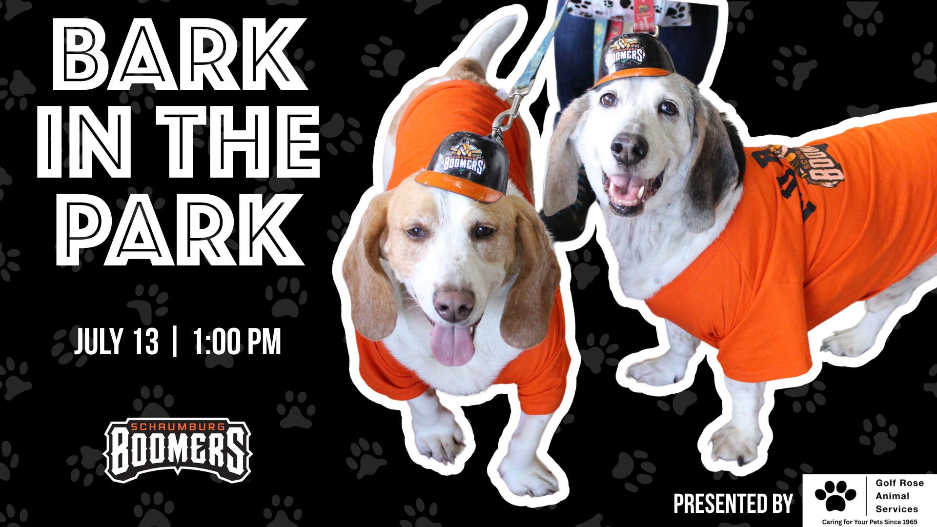 Jul 13 | Bark In The Park Funraiser at Boomers Stadium in Schaumburg ...