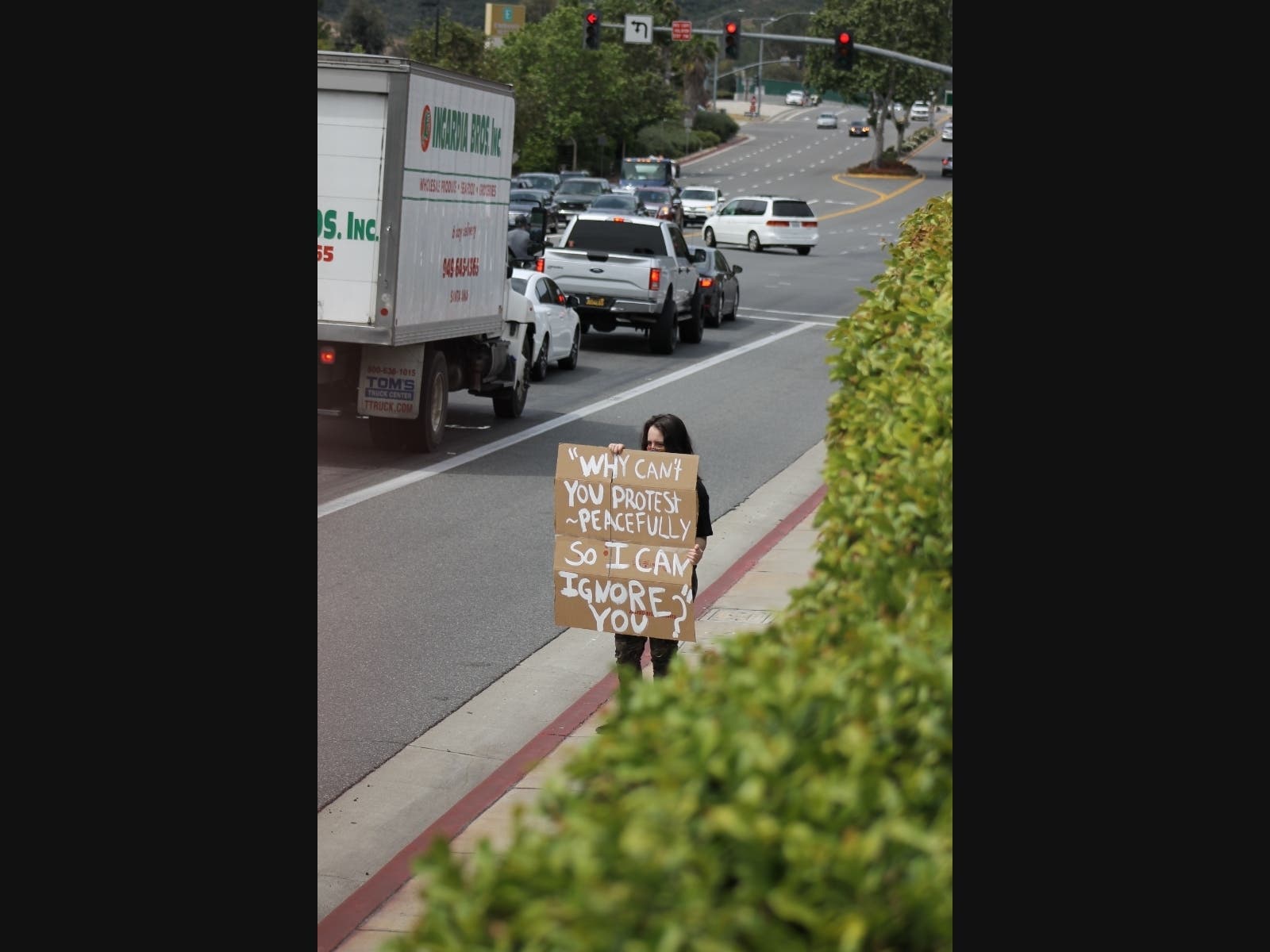 Photos: Hundreds Gather In Temecula, Protesting Police Violence ...