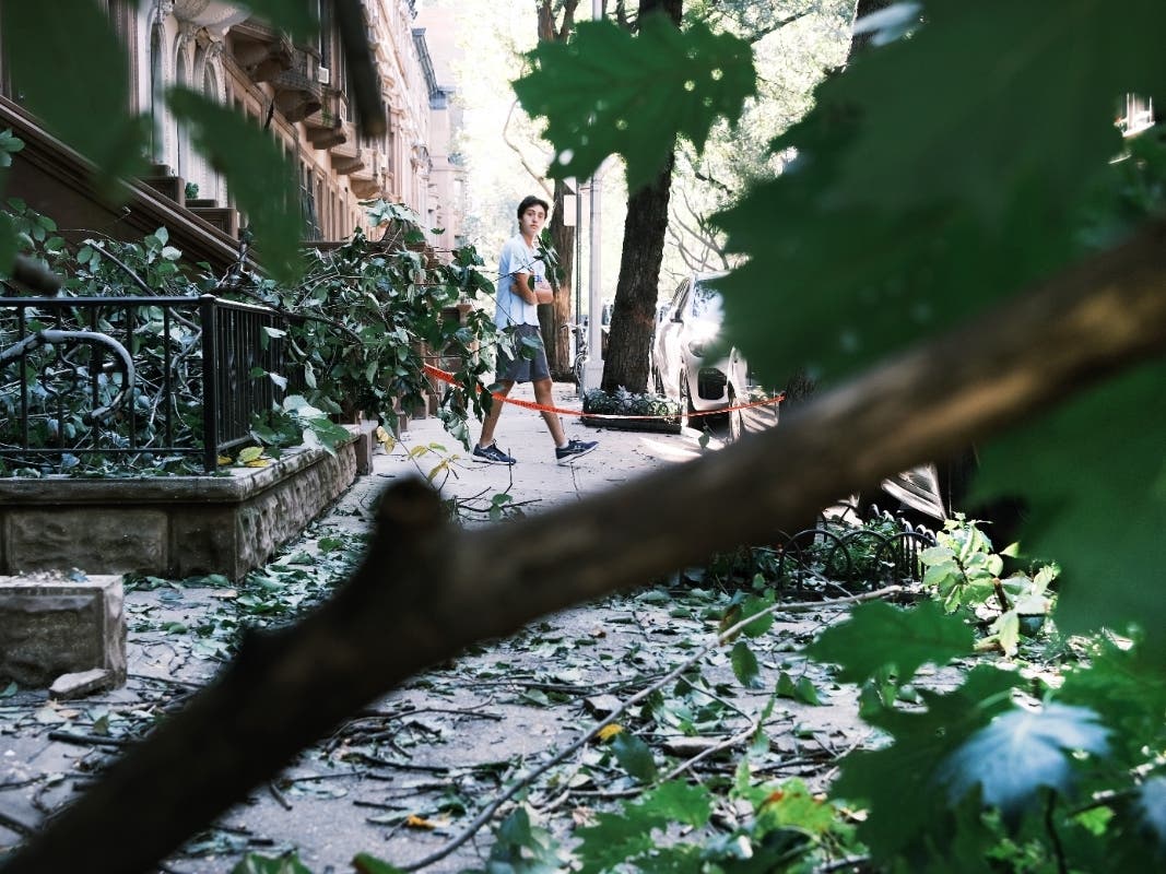 Harlemites File Hundreds Of Damage Complaints After Storm, Floods ...