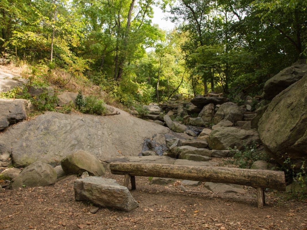'Central Park Karen' Amy Cooper Loses Lawsuit Against Ex-Employer ...
