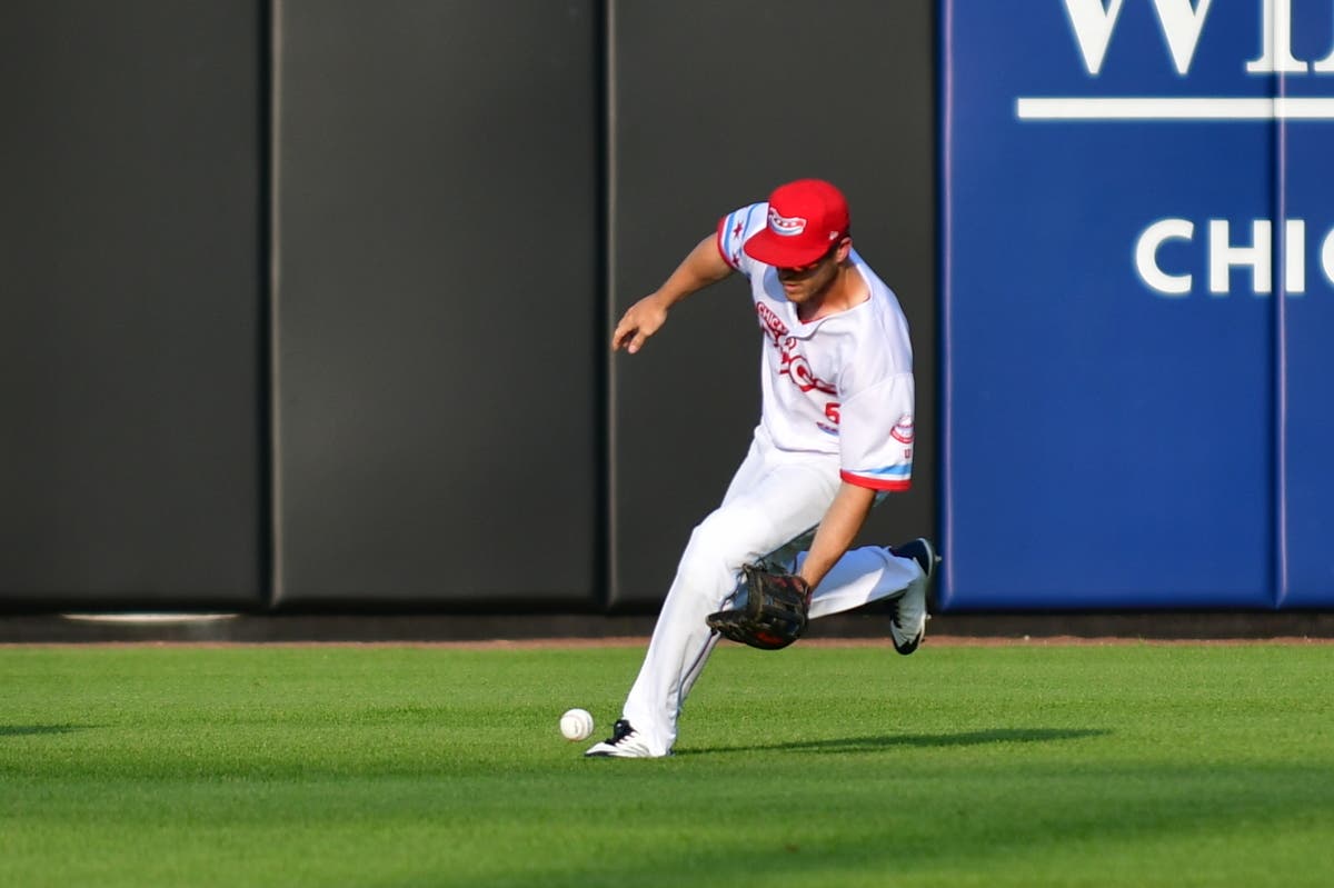 The Chicago Dogs - Chicago's Newest Baseball Team | Chicago, IL Patch