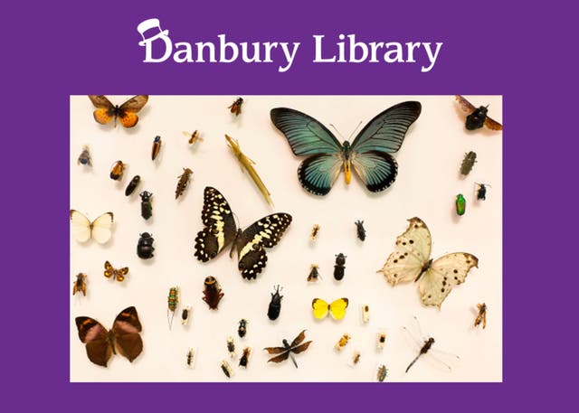 Jul 26 | Bugarama - for ages 5-10 years old @ Danbury Library | Danbury ...