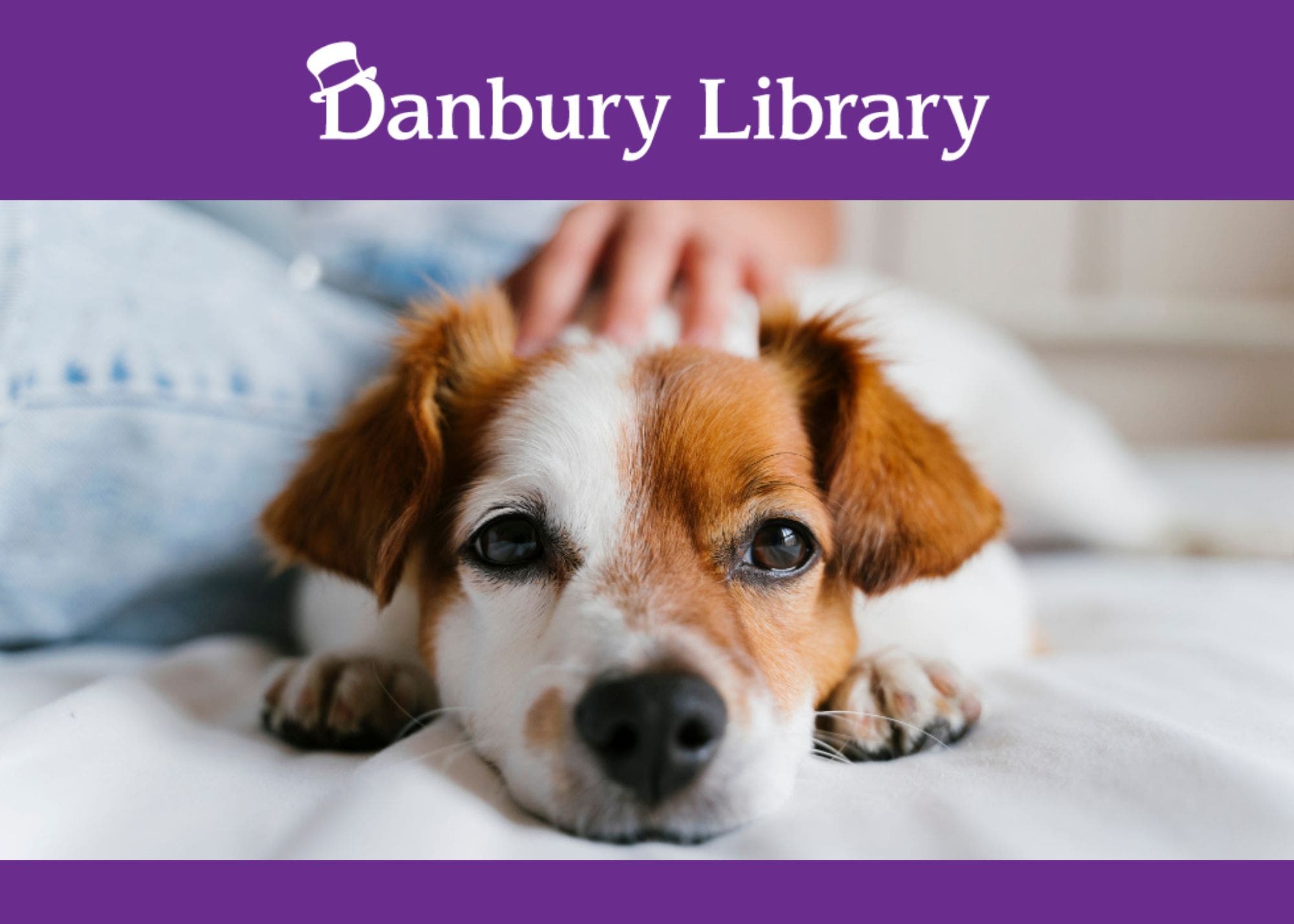 May 14 | Learn How to Care for Pets - for children 5-8 years old ...