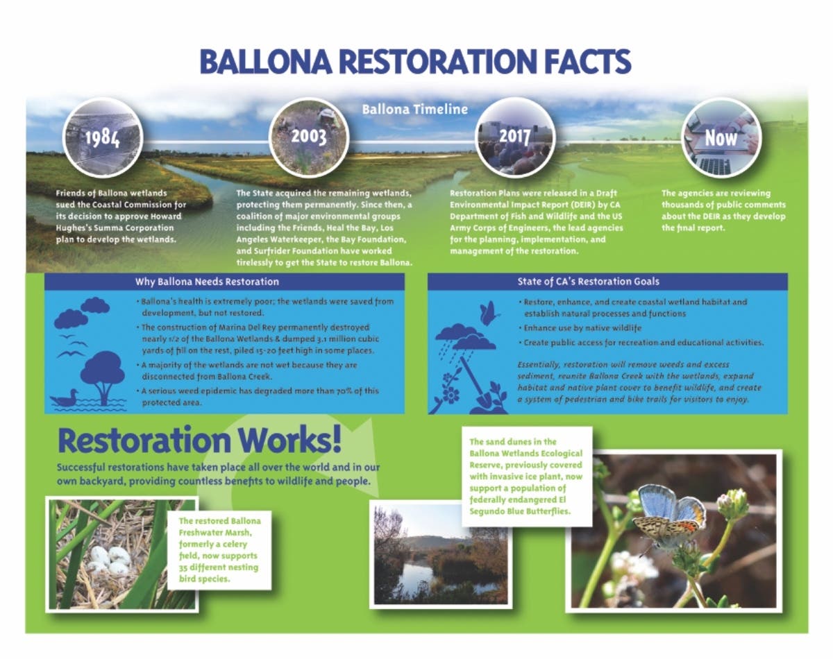 Ballona Wetlands: State Opens Public EIR Comment Period | Marina Del ...