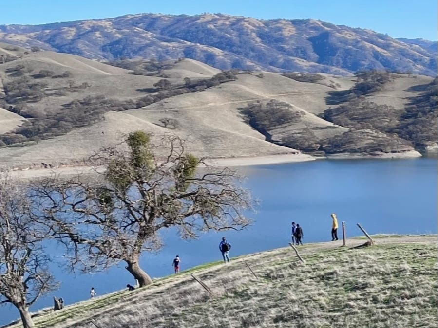 Fun At Lake Del Valle: Photos Of The Week | Livermore, CA Patch