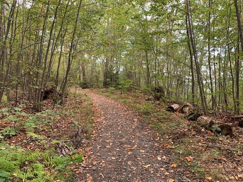 Best Hiking Trails In Ashburn To See The Fall Colors | Ashburn, VA Patch