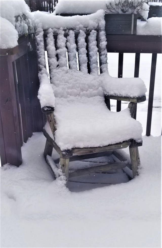 First Snowstorm Of 2024: Bethesda, Chevy Chase Readers Share Photos ...