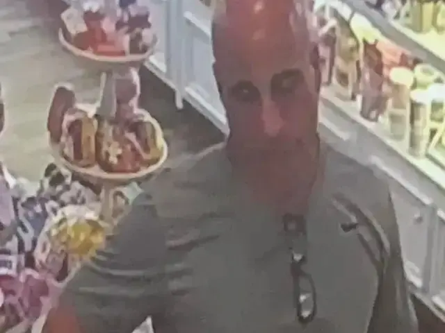 Elmhurst Arrests Scam Suspect, Who Has Long History | Elmhurst, IL Patch