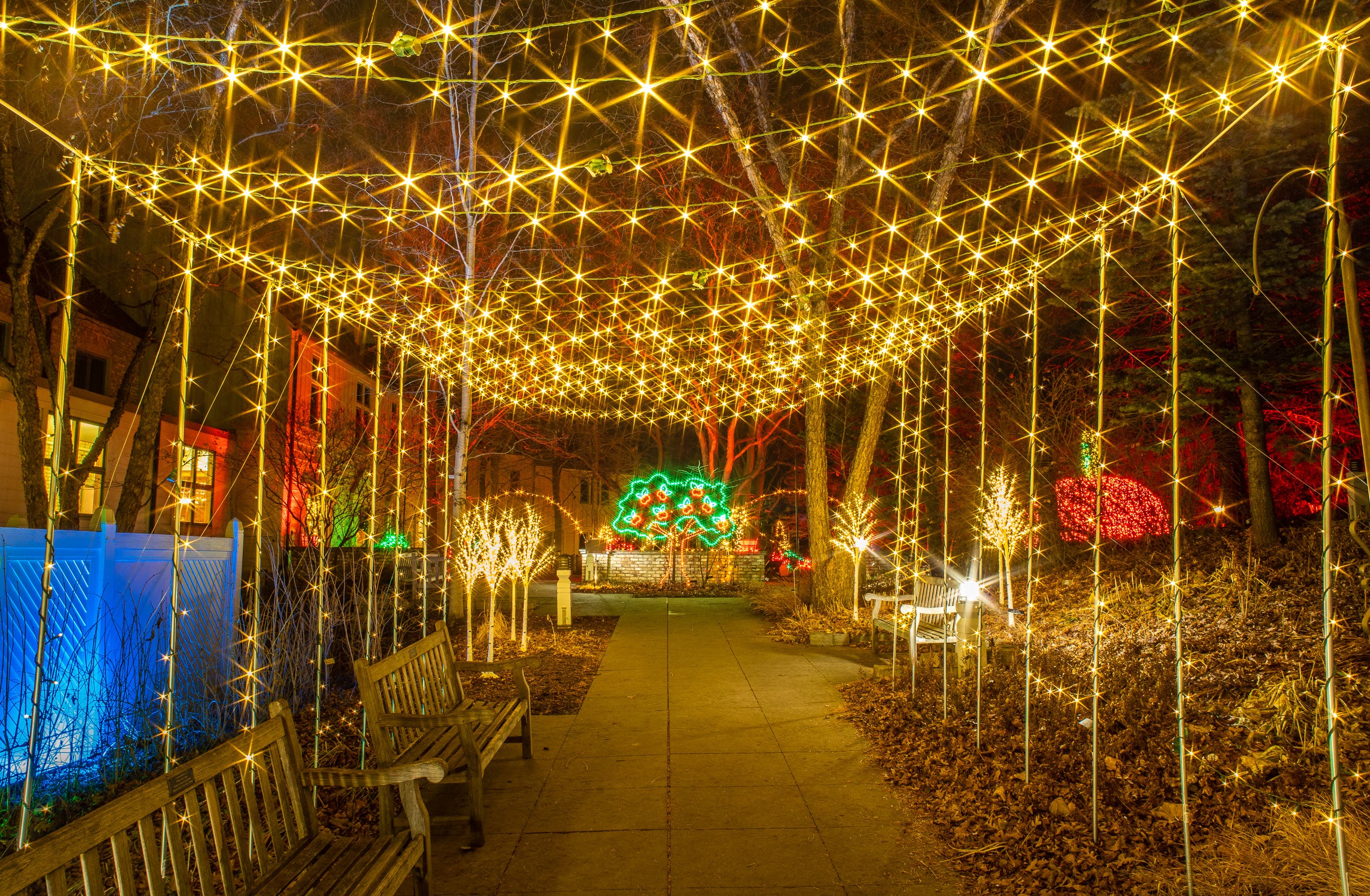 Nov 24 | Winter Lights at the Arb - General Admission Nights | Eden ...