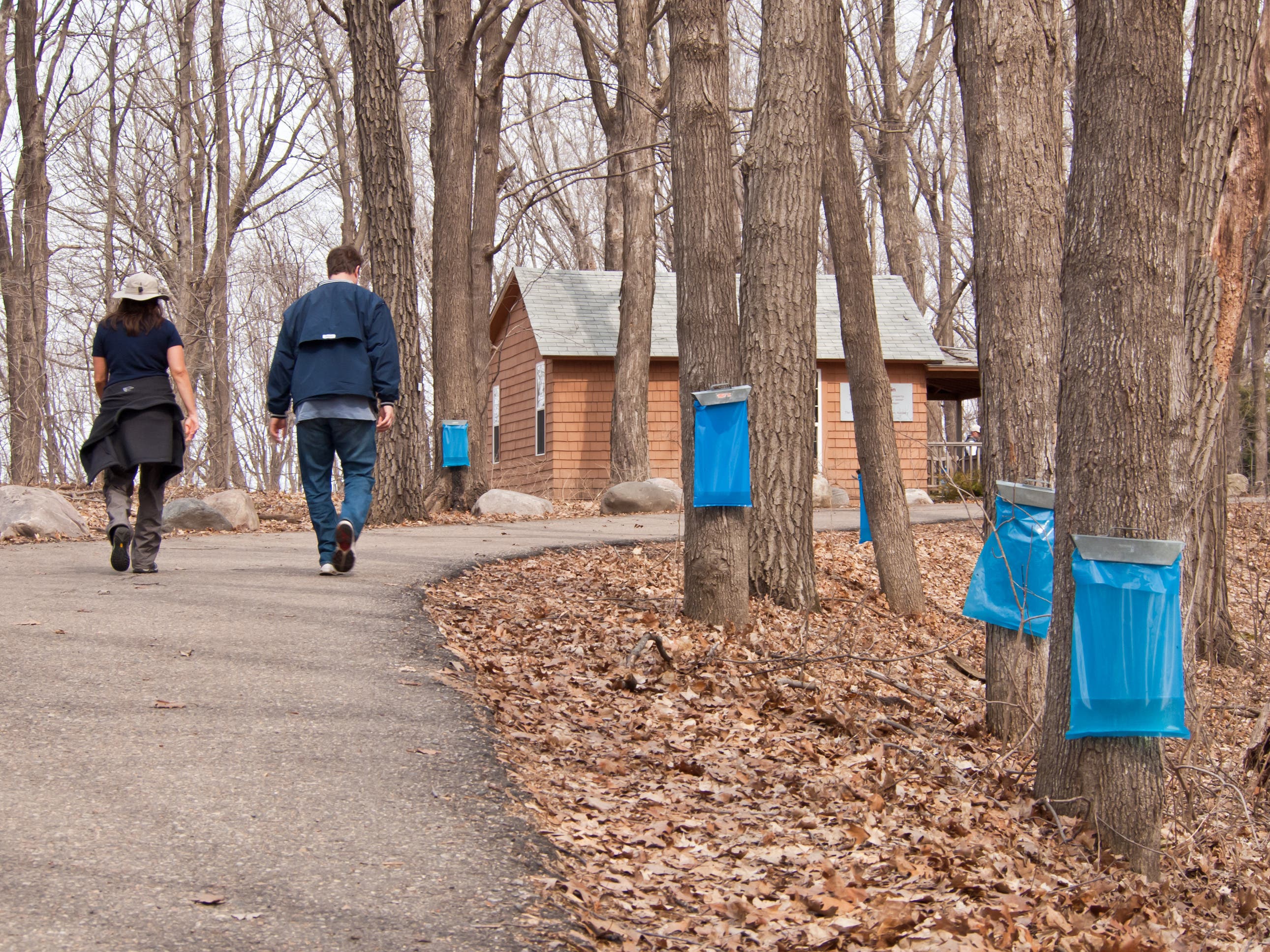 Mar 8 | Maple Fest - March 23rd | Eden Prairie, MN Patch