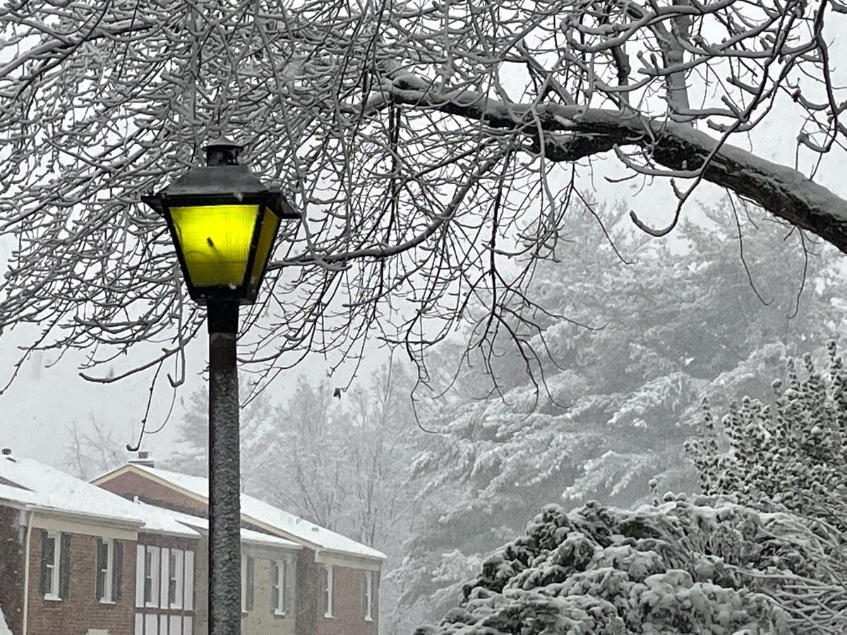 Snow Photos Wanted From Fairfax City For Winter Storm Gallery | Fairfax ...