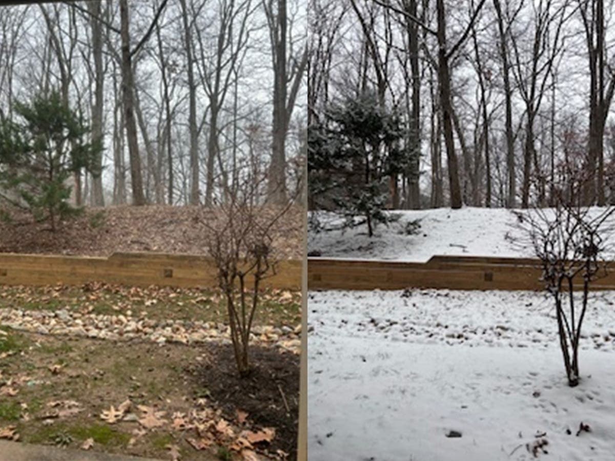 2024 Winter Storm Photo Gallery: Snow Photos From Reston Readers ...