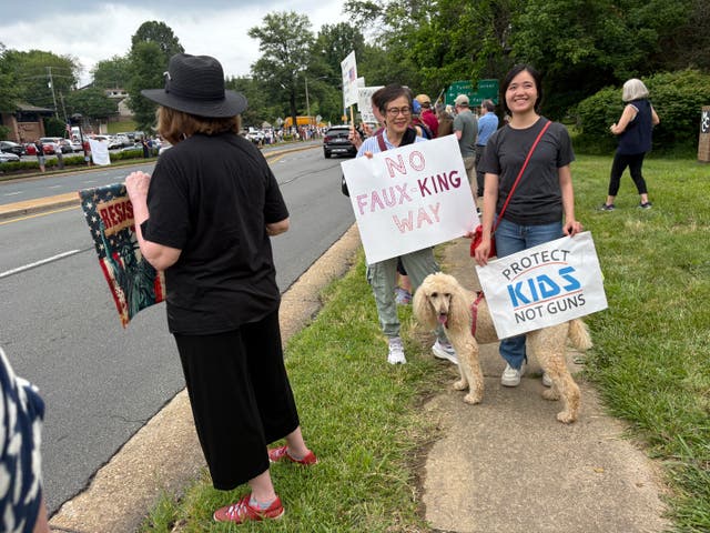 Large Crowds Protest Peacefully At No Kings Rallies Across Fairfax ...