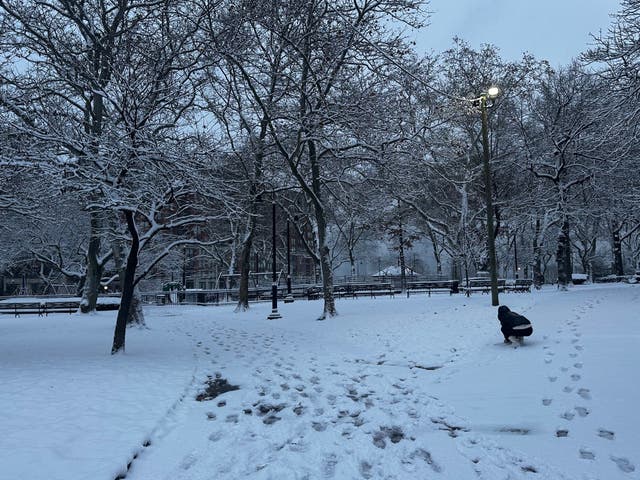 Snow Totals Released For Bergen County Towns: How Much? | Wyckoff, NJ Patch