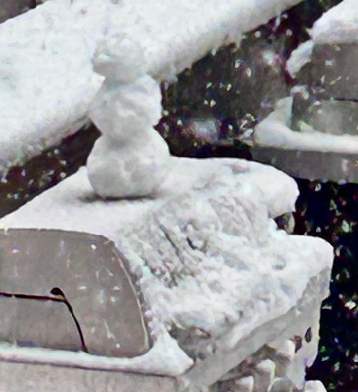 Snow Totals Released For Bergen County NJ Towns | Ridgewood, NJ Patch