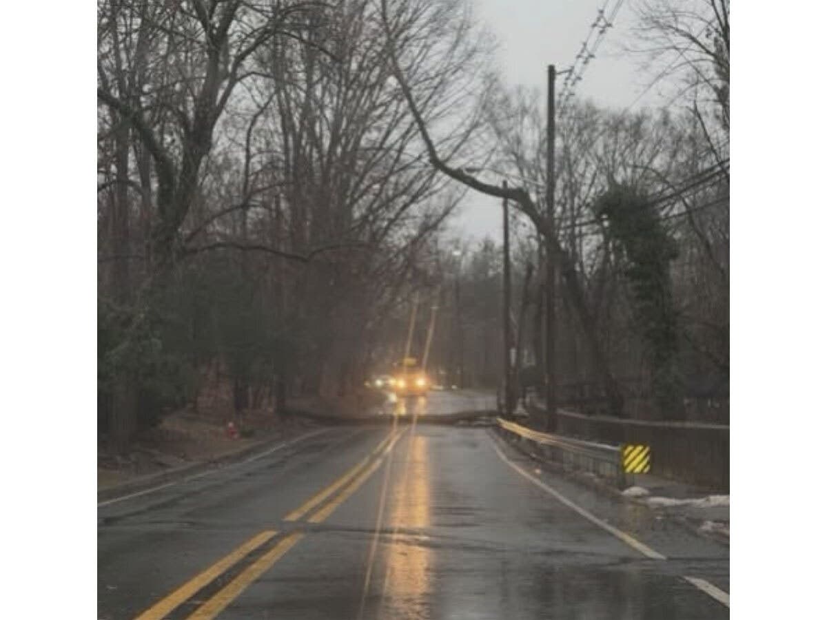 Multiple Downed Trees Block Ridgewood Roads | Ridgewood, NJ Patch