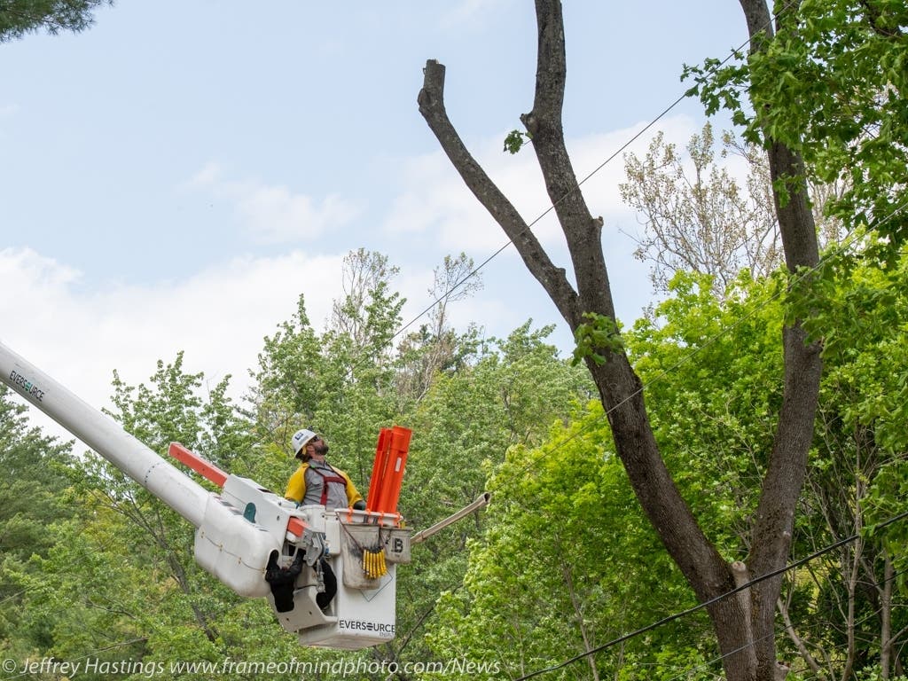Worker Electrocuted While Cutting Tree In A Lift In Bedford | Bedford ...