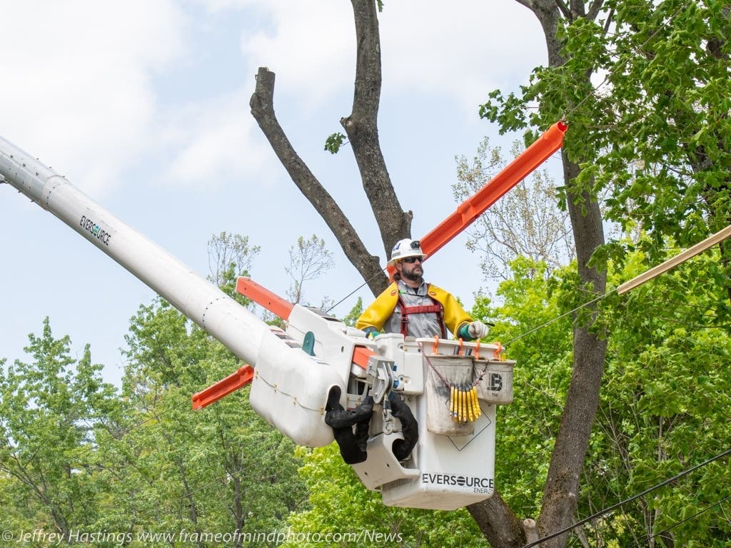 Worker Electrocuted While Cutting Tree In A Lift In Bedford | Bedford ...
