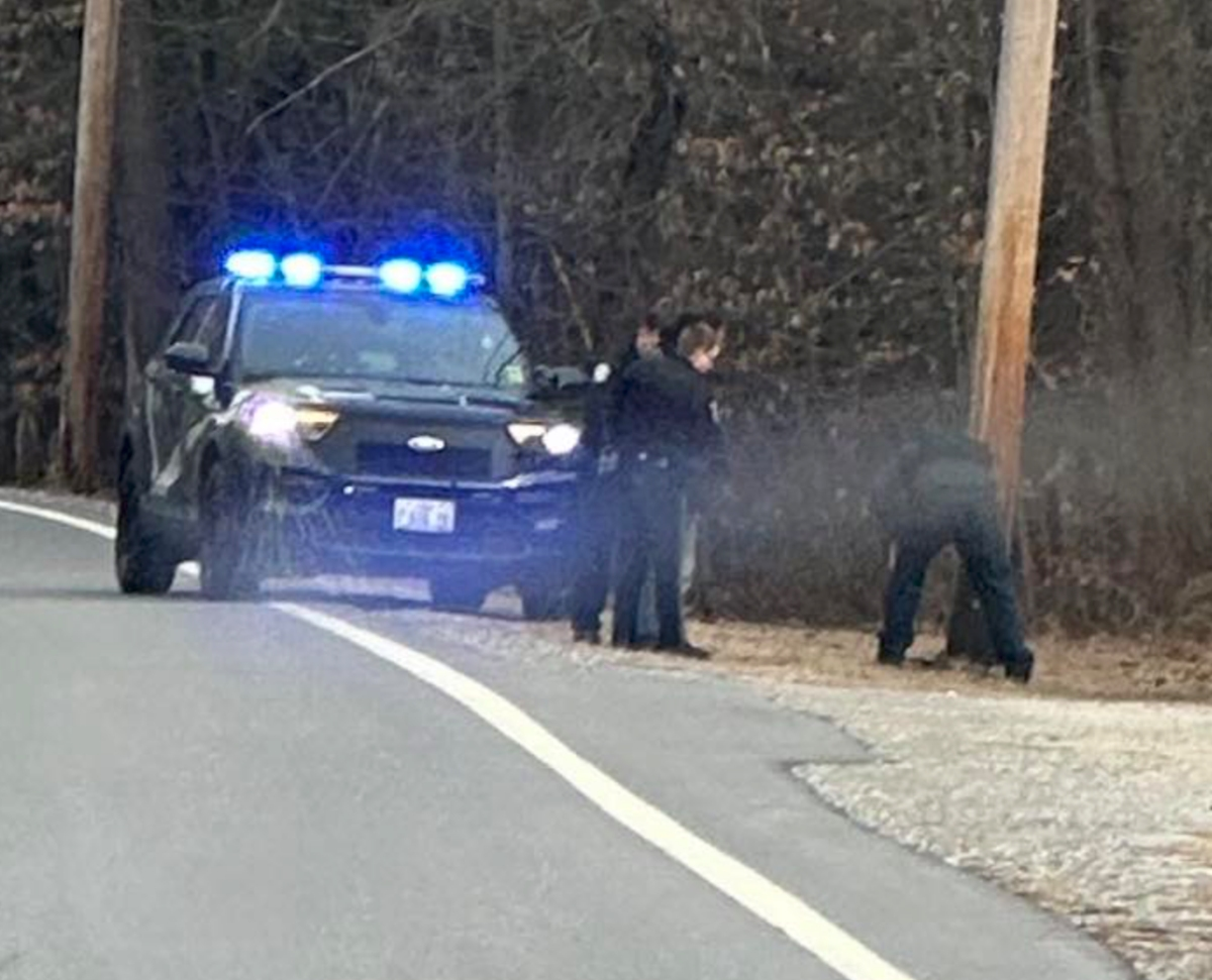New Boston Police Take Felon Avery Blodgett Into Custody At Gunpoint ...