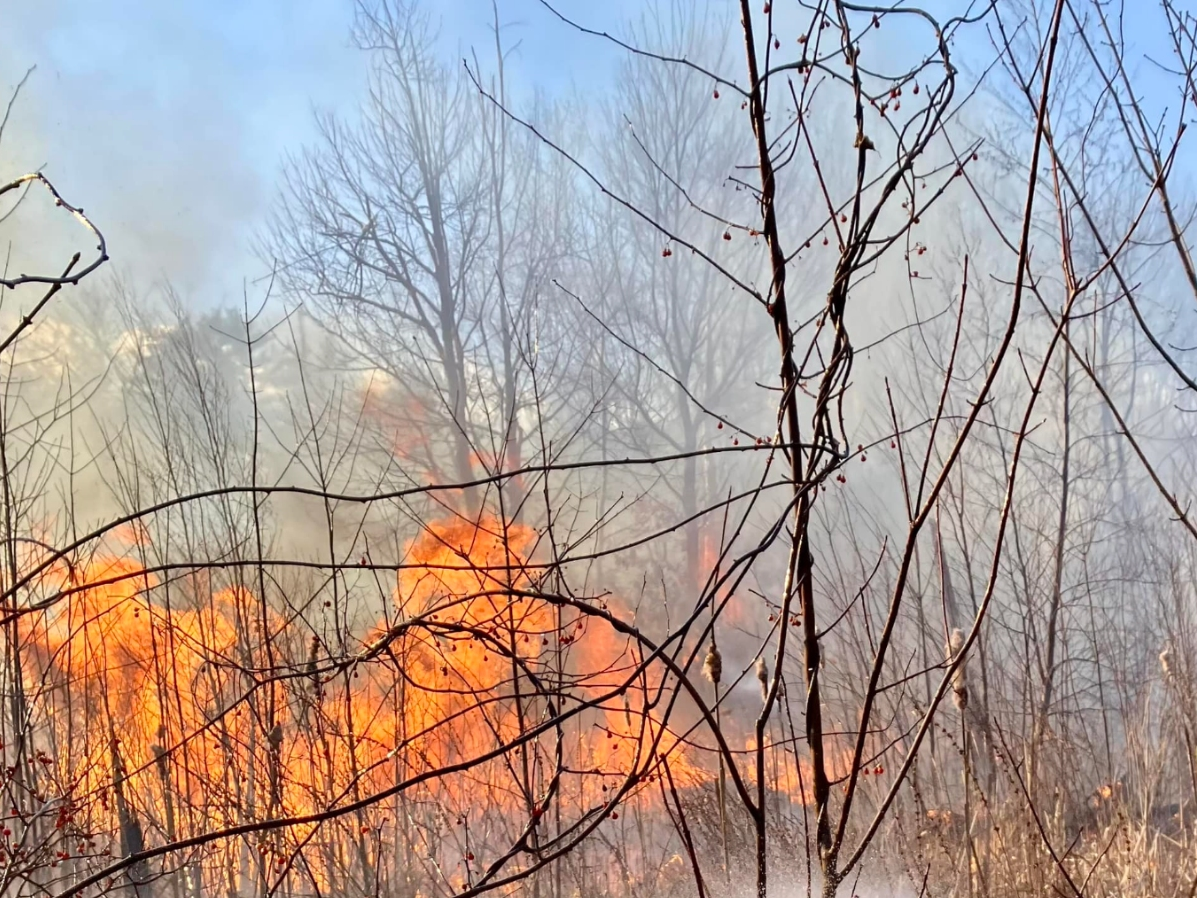 3-Alarm Derry Brush Fire With Heavy Fire Accelerated By Gusty Winds ...