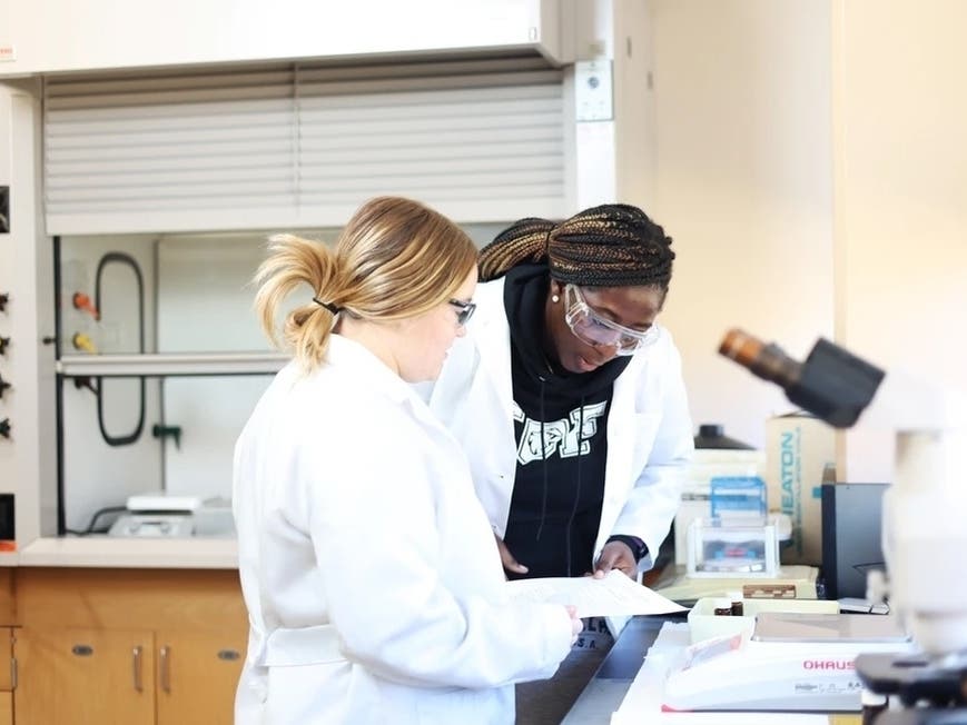 Saint Elizabeth University Named to Newsweek's Inaugural "America's ...
