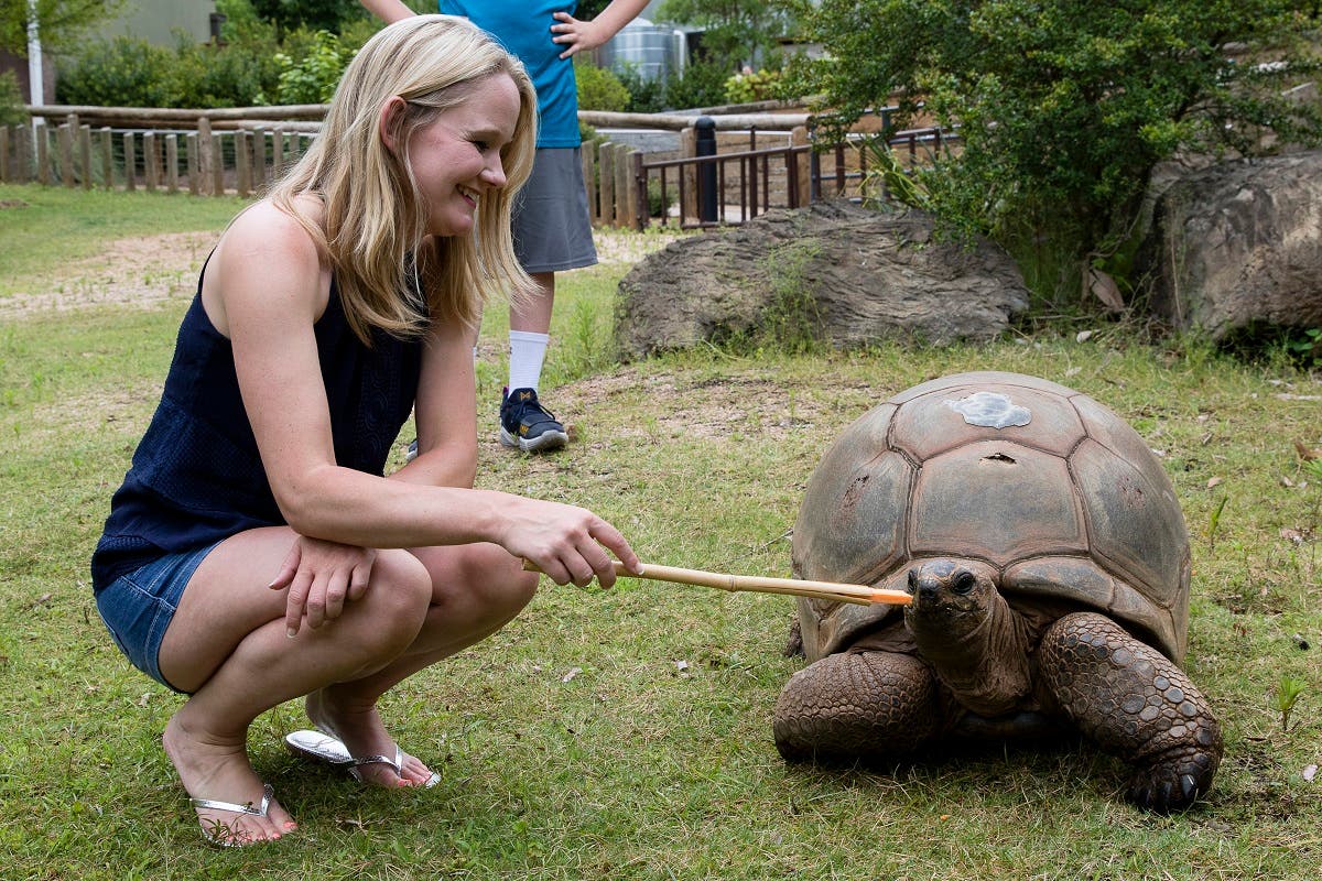 Jul 29 | Aldabra Tortoise Wild Encounter | Atlanta, GA Patch