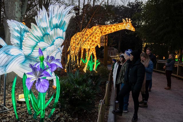 Nov 29 | IllumiNights at the Zoo | Atlanta, GA Patch